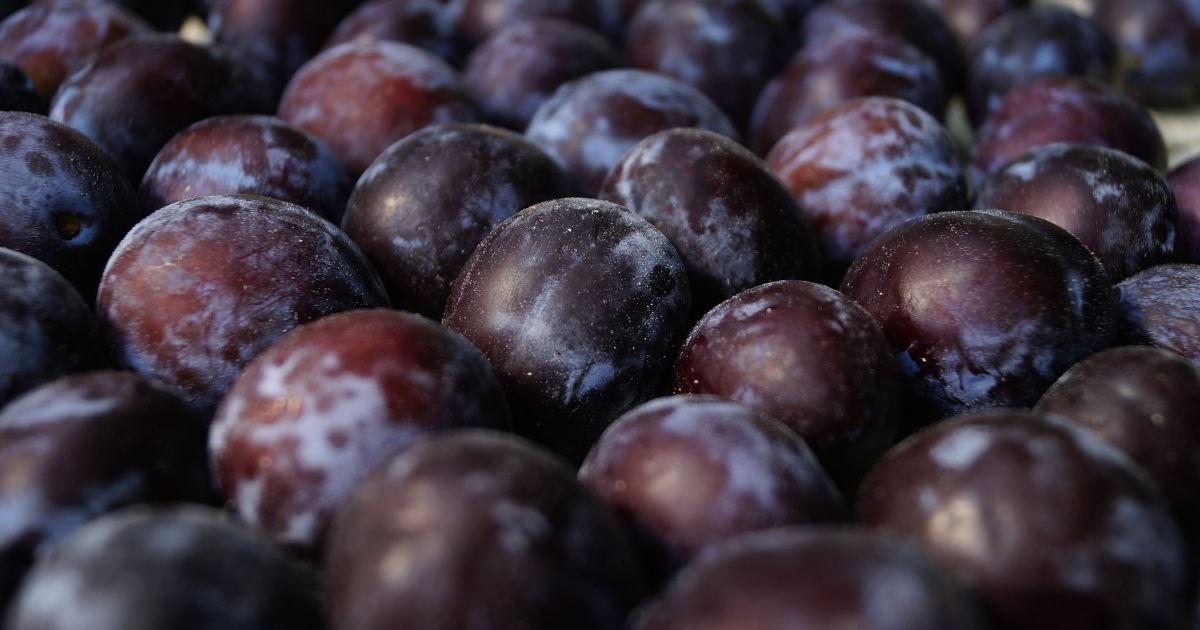 Pflaume: Vielseitige Frucht für Sommer und Herbst