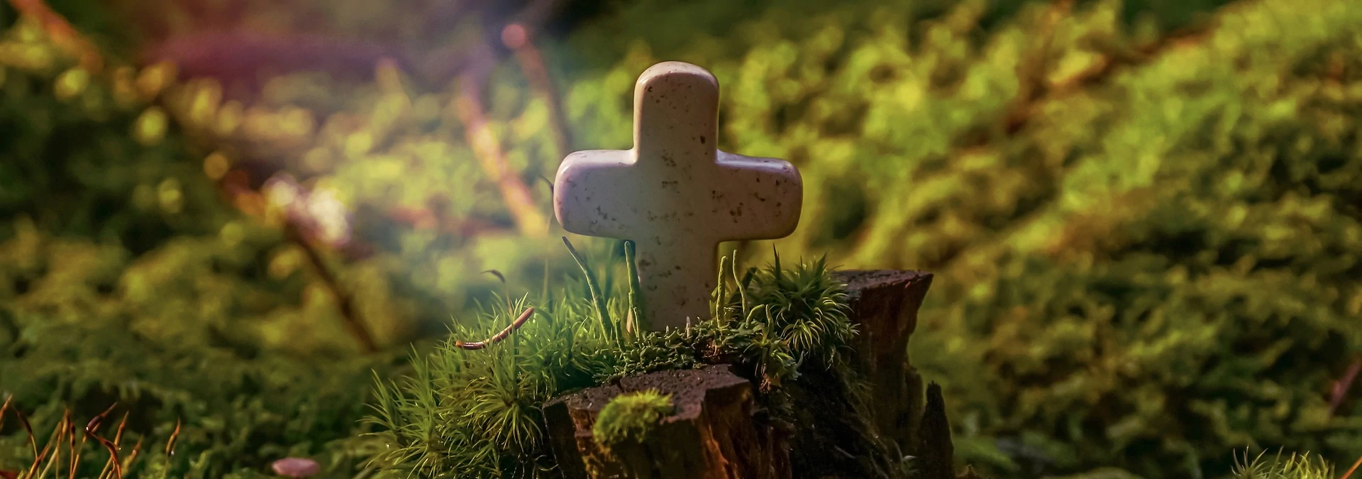 Allerheiligen: Ursprung, Bedeutung und Traditionen